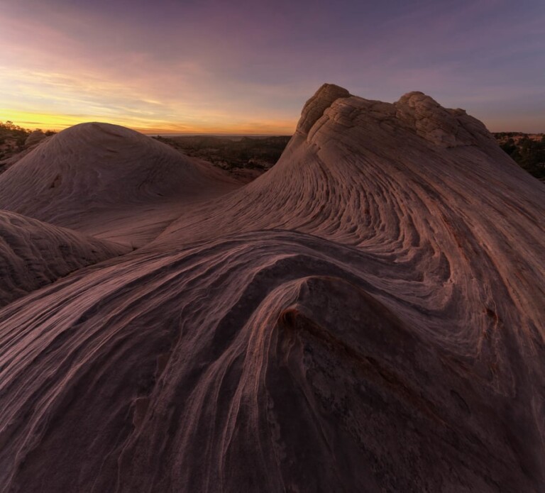 Focus Stacking in Photography – Step by Step Tutorial