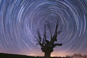 Star Trails Photography Guide (2024) + Step by Step Tutorial!